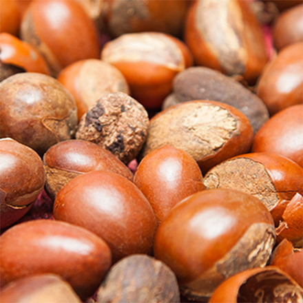 Rosa Pera | L'Occitane Perú